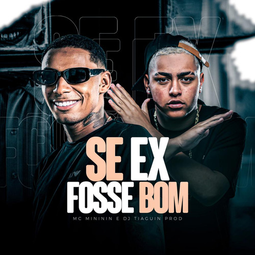 Stream Mc Mininin Se Ex Fosse Bom Dj Tiaguin Prod By Dj Tiaguin