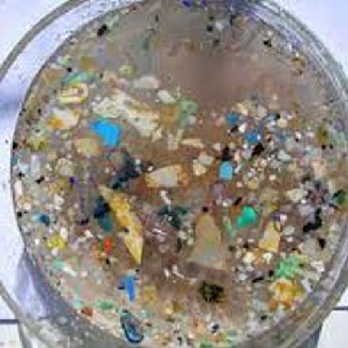 Listen to music albums featuring Microplastic Soup by lil young Chaos ...