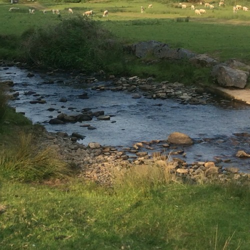 Stream River Voices by Mr Kirby | Listen online for free on SoundCloud