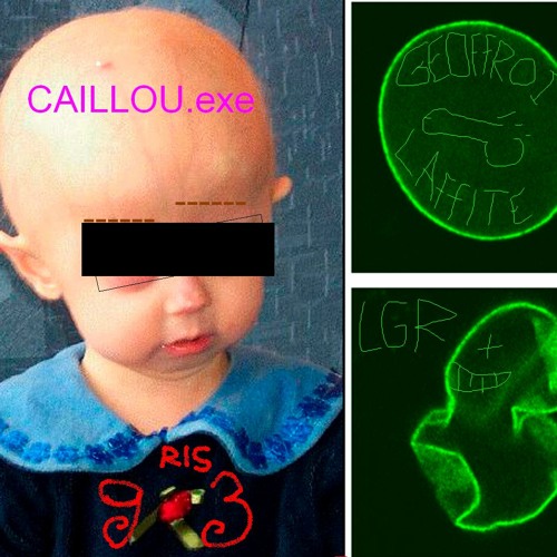 Stream episode Caillou.exe by Geoffroi Laffite podcast | Listen online ...