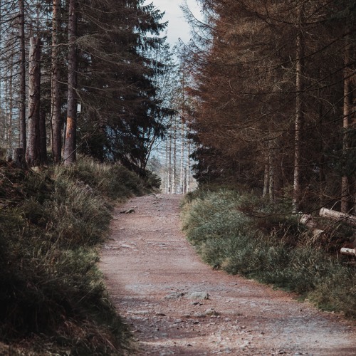 Stream A Hero Of War by Shoroo | Listen online for free on SoundCloud