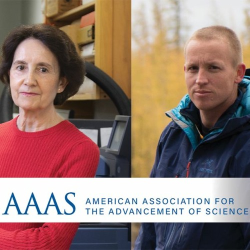 Stream FSU researchers named AAAS Fellows by Florida State University ...