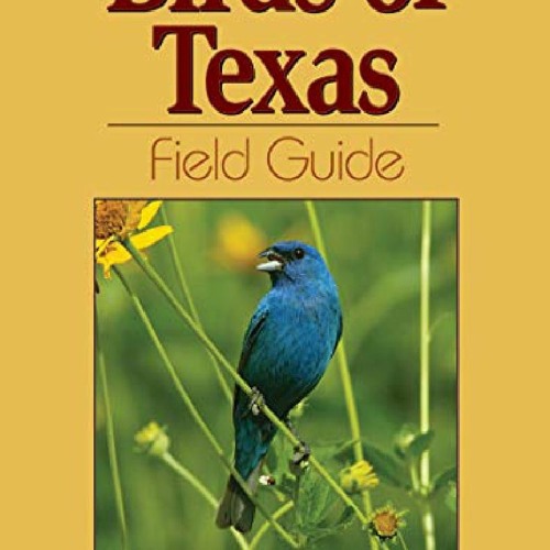Stream episode [PDF]⚡DOWNLOAD Birds of Texas Field Guide (Bird ...