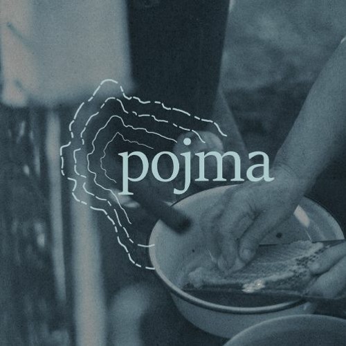 Stream POJMA | Listen to Audio Guide in English playlist online for ...