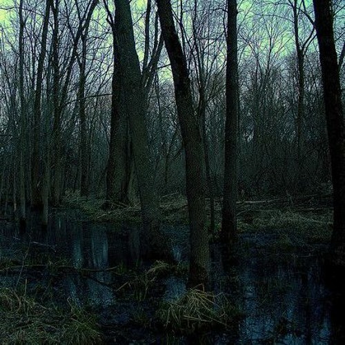 Stream A Deep Swamp In The Black Forest by Night Note | Listen online ...