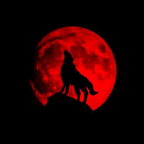 Howling Wolf Red Moon