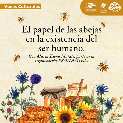 Stream episode El papel de las abejas en la existencia del ser humano ...