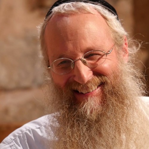 Stream Rav Daniel Kohn | Listen to Fifteen Steps to Cheirut: Exploring ...