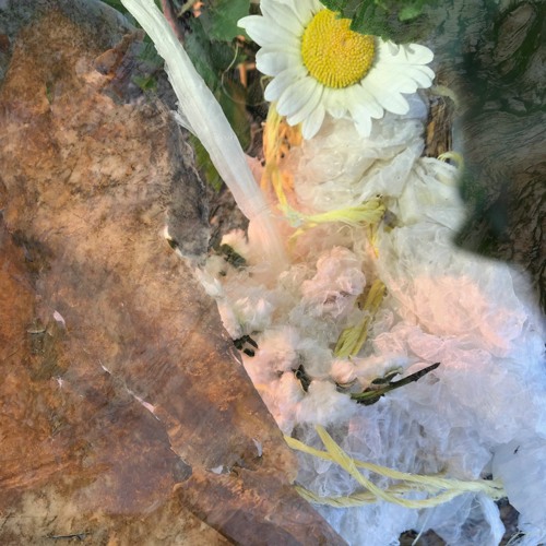 Stream Bound Centre | Listen to April Bourne 'Ox-Eye EP' playlist ...