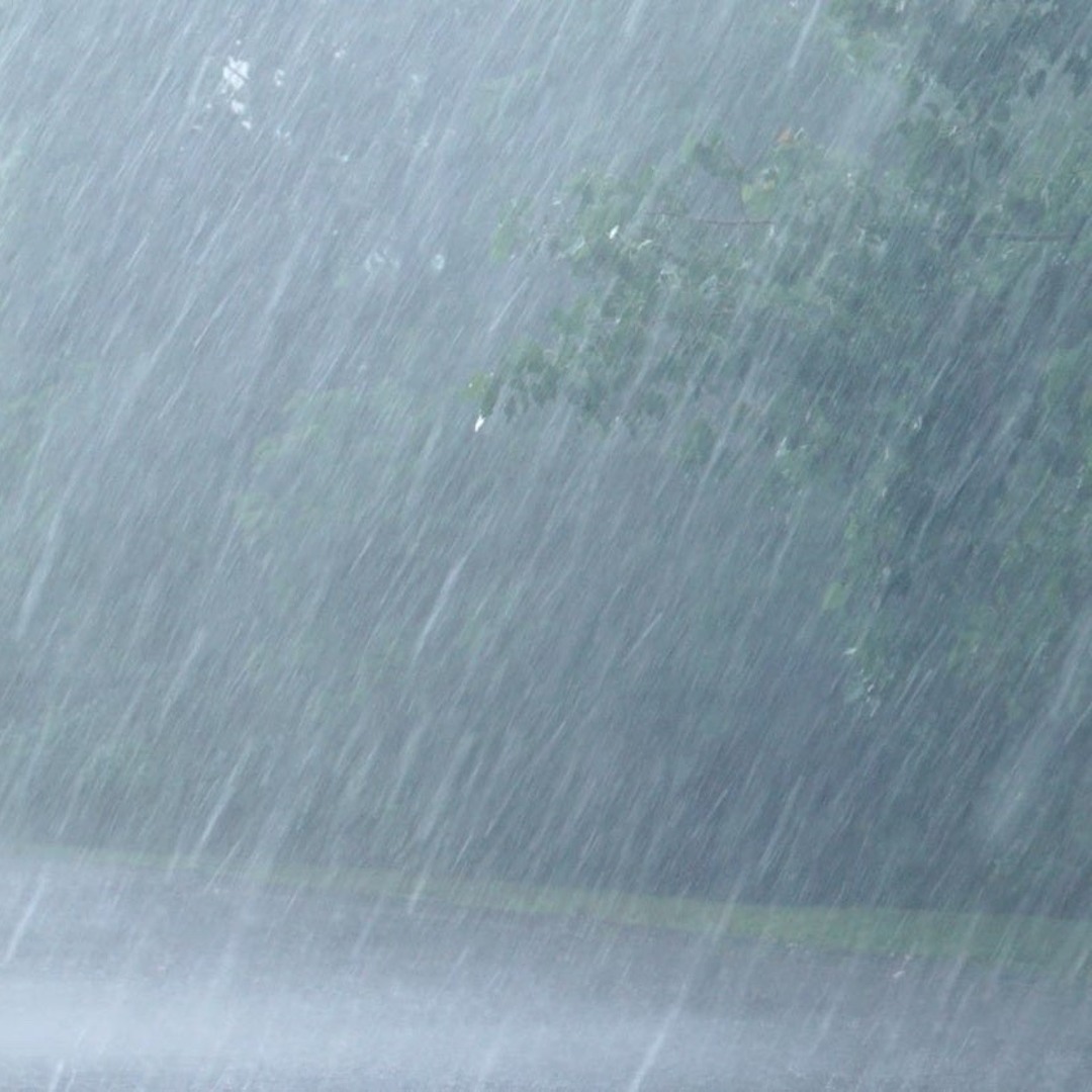 Stream why does it still rain? by revi forgotten | Listen online for free on SoundCloud