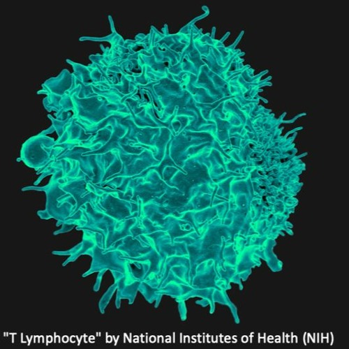 Stream episode Los linfocitos T y su evaluación by John M. González ...