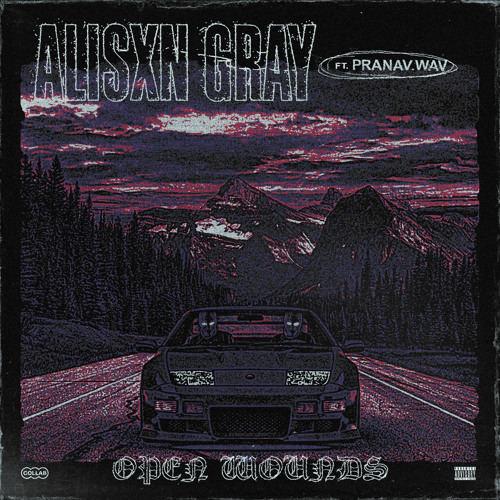 Stream Open Wounds (feat. Pranav.Wav) by Alisxn Gray | Listen online ...