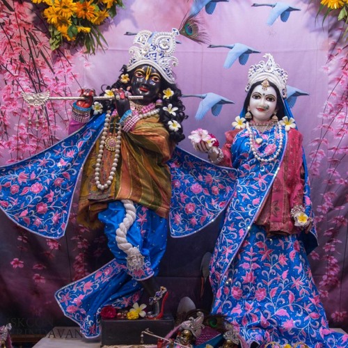 Stream Ladli Radhika 18.11.20 Prabhupada Samadhi Night Kirtan On ...