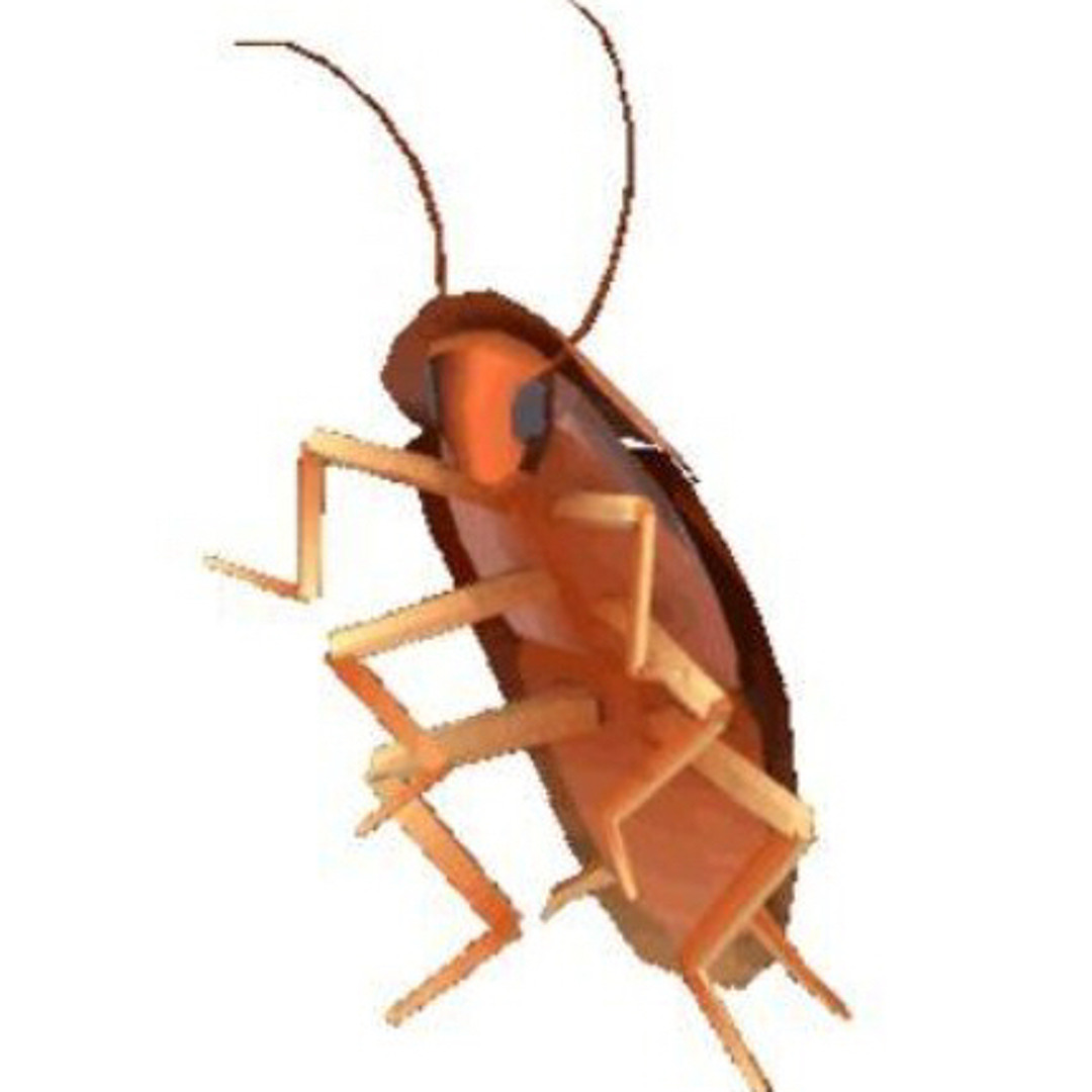 Stream I Live With Roaches-Original meme song by Quandale Dingle ...