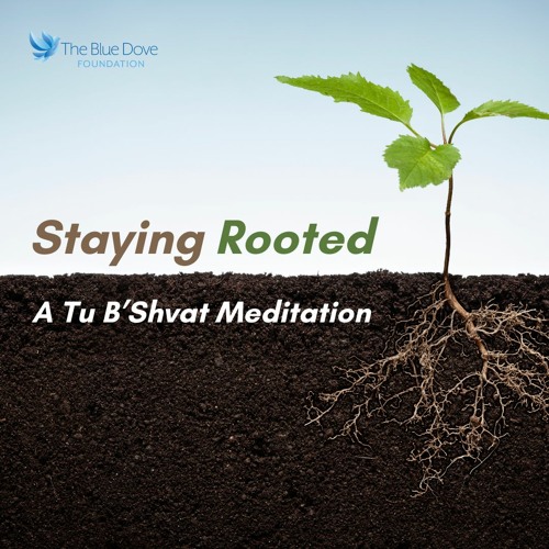 Stream Staying Rooted: A Tu B'Shvat Meditation by The Blue Dove ...