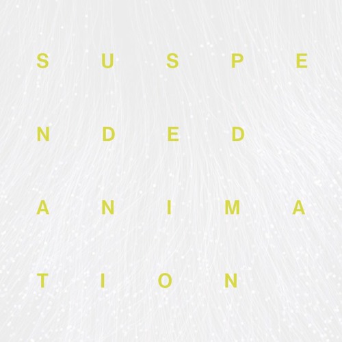 Stream SUSPENDED ANIMATION by IRIIS | Listen online for free on SoundCloud