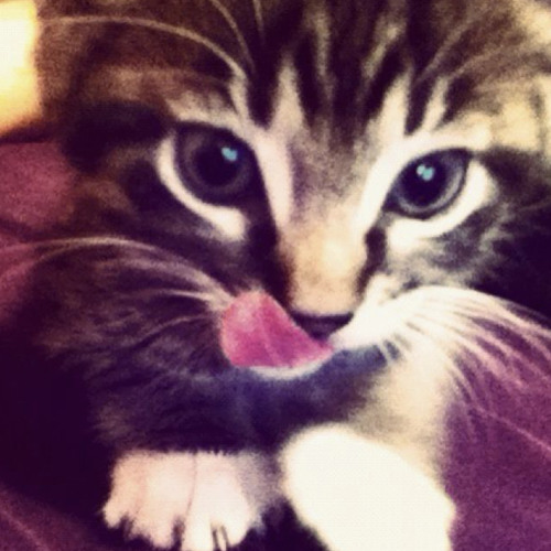 Stream leooo.ooo0 | Listen to 1 playlist online for free on SoundCloud