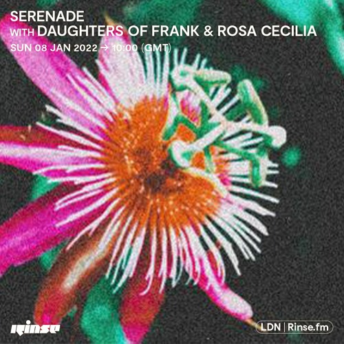 Stream Serenade with Daughters of Frank & Rosa Cecilia - 08 January ...