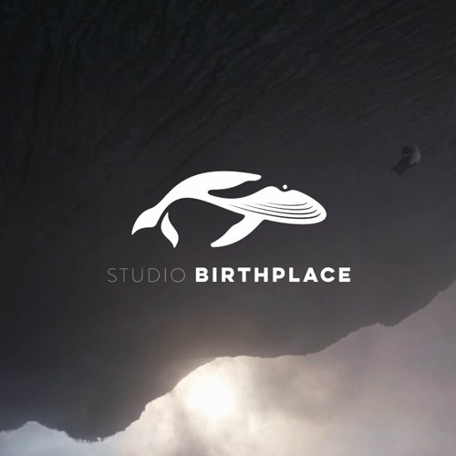 Stream STUDIO BIRTHPLACE 2023 by Vitaliy Zavadskyy | Listen online for free on SoundCloud