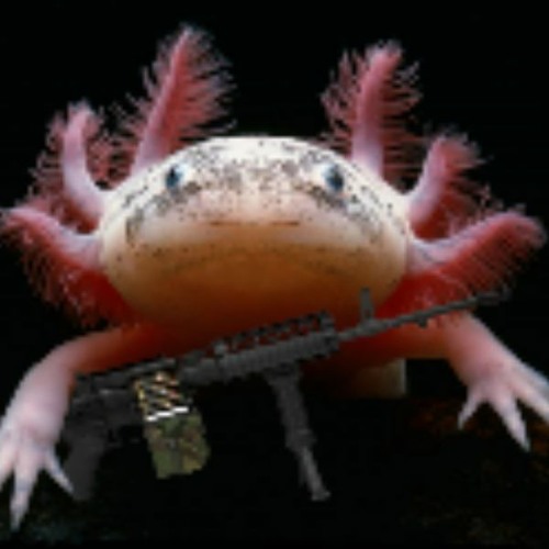 Stream Axolotl Asset by StaraZHer | Listen online for free on SoundCloud