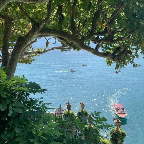 Stream Timothy Fierro's Summer Dream #1 by dj valencya | Listen online ...