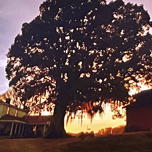 Stream simple man - deftones (sped up) by ronnoc | Listen online for ...