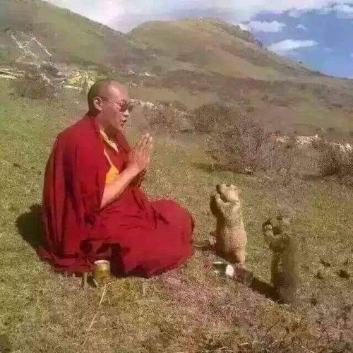 Stream Travis Scott Meal by Firelink Altar | Listen online for free on ...