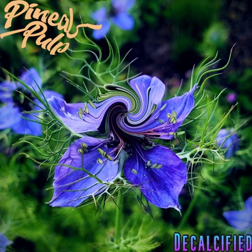 Stream Decalcified by Pineal Pulp | Listen online for free on SoundCloud