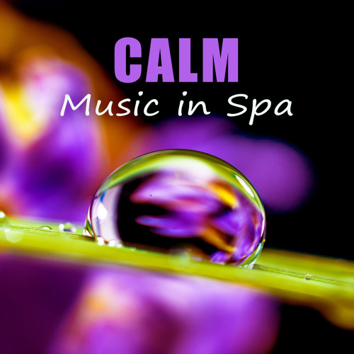 Stream Day SPA (Sea Sound) by Wellness Spa Music Oasis | Listen online ...