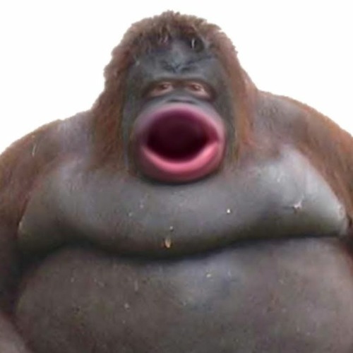 Stream Angry Chimpanzee Sounds - Jack Domanek by Jack Domanek | Listen ...