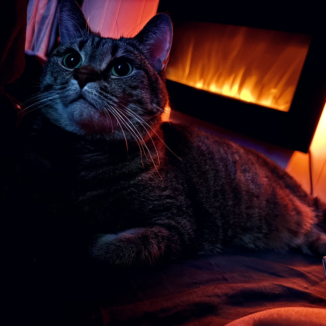 Stream Shael - Deep Jamz - FEBRUARY 2024 by Shael | Listen online for ...