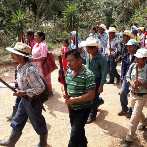 Stream Capítulo 1 Idioma Popti', La Salud y Nutrición del Pueblo Maya ...