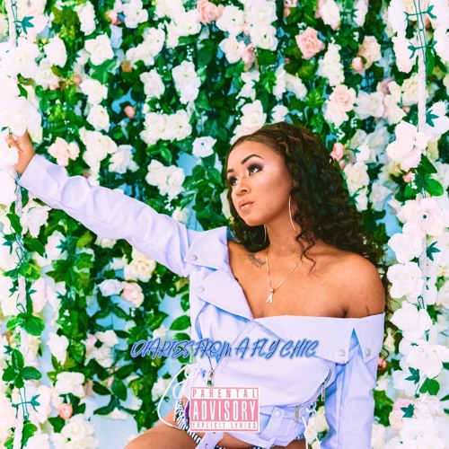 Stream DIARIES FROM A FLY CHIC by Ammaarah. | Listen online for free on ...