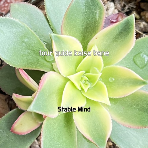 Listen to music albums featuring culture spears all songs by Stable Mind online for free on ...