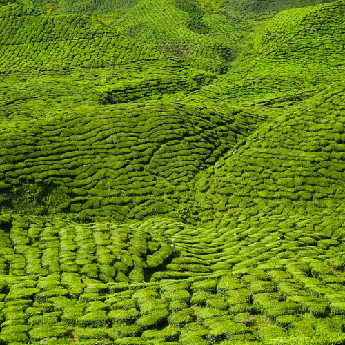 Stream Rift by Anth | Listen online for free on SoundCloud