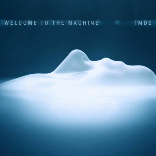 Stream Welcome To The Machine by The Magnetic Dog Sisters: cover songs ...