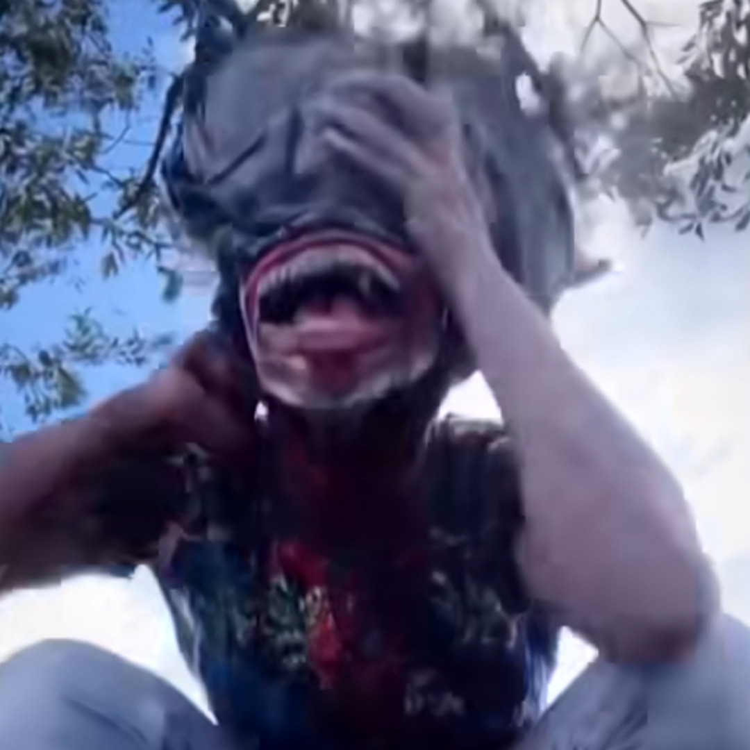 Stream 2xescobar - addikt (ballout) bootleg track by bankrollshawty ...