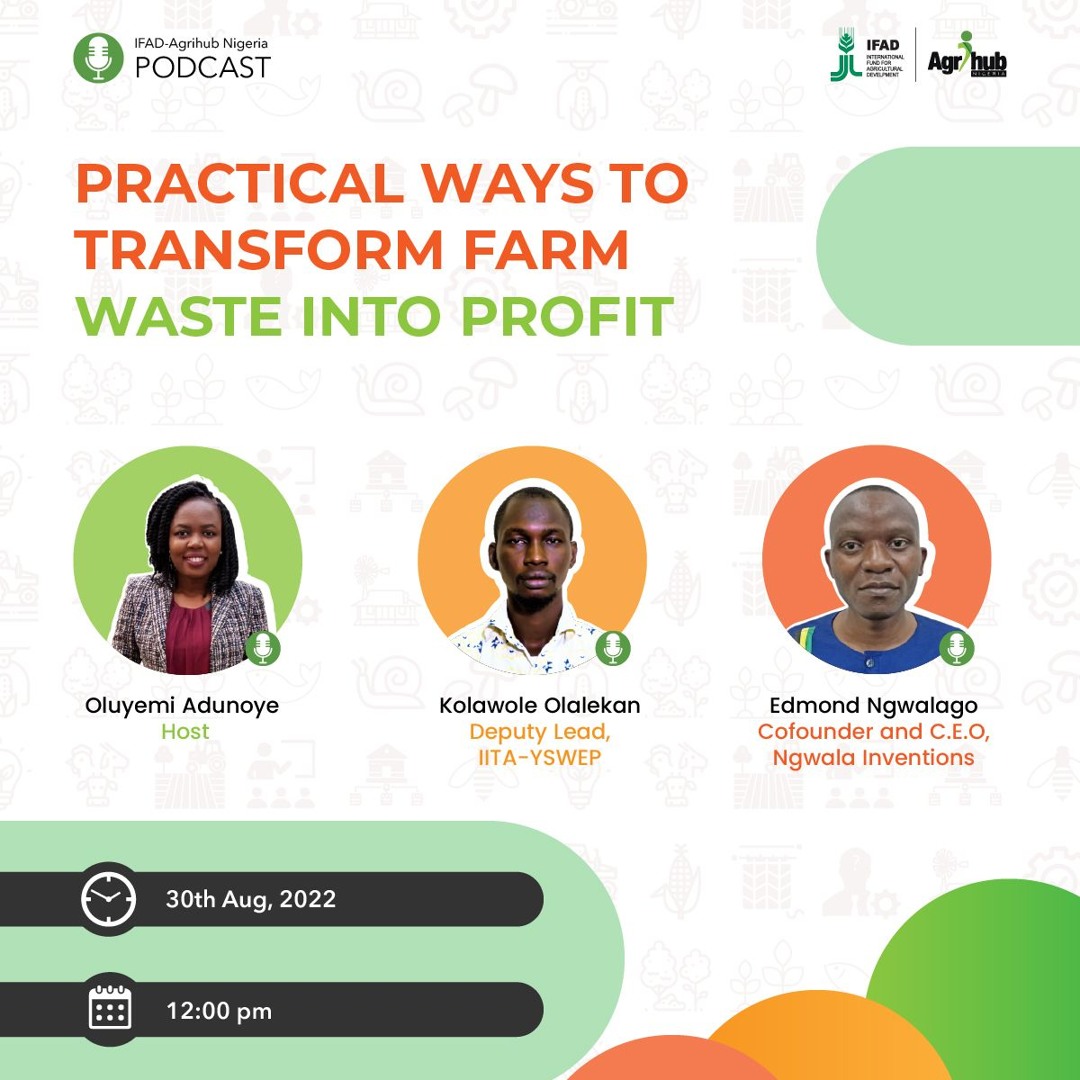 Stream episode 3rd, Pratctical Ways Of Transforming Waste To Wealth by ...