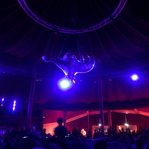 Stream JDD Festival 2023 - Prequel Set (06.07.23) by Galopino | Listen ...