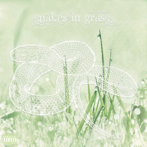 Stream mygod (@prodmygod) | Listen to Snakes In Grass playlist online ...