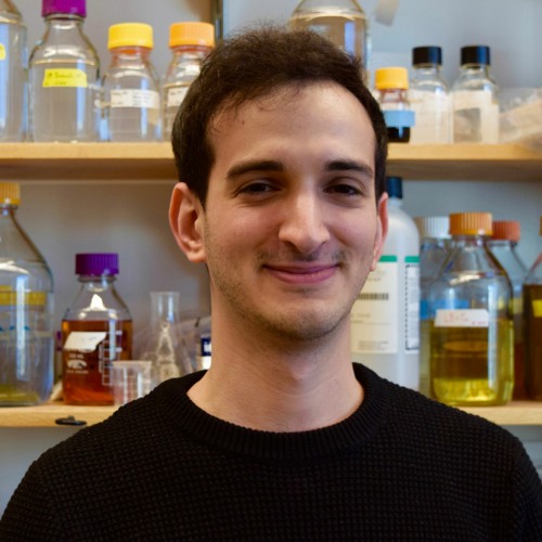 Stream episode Converging Paths, Ep. 2: Avi Singer by BioGenesis ...