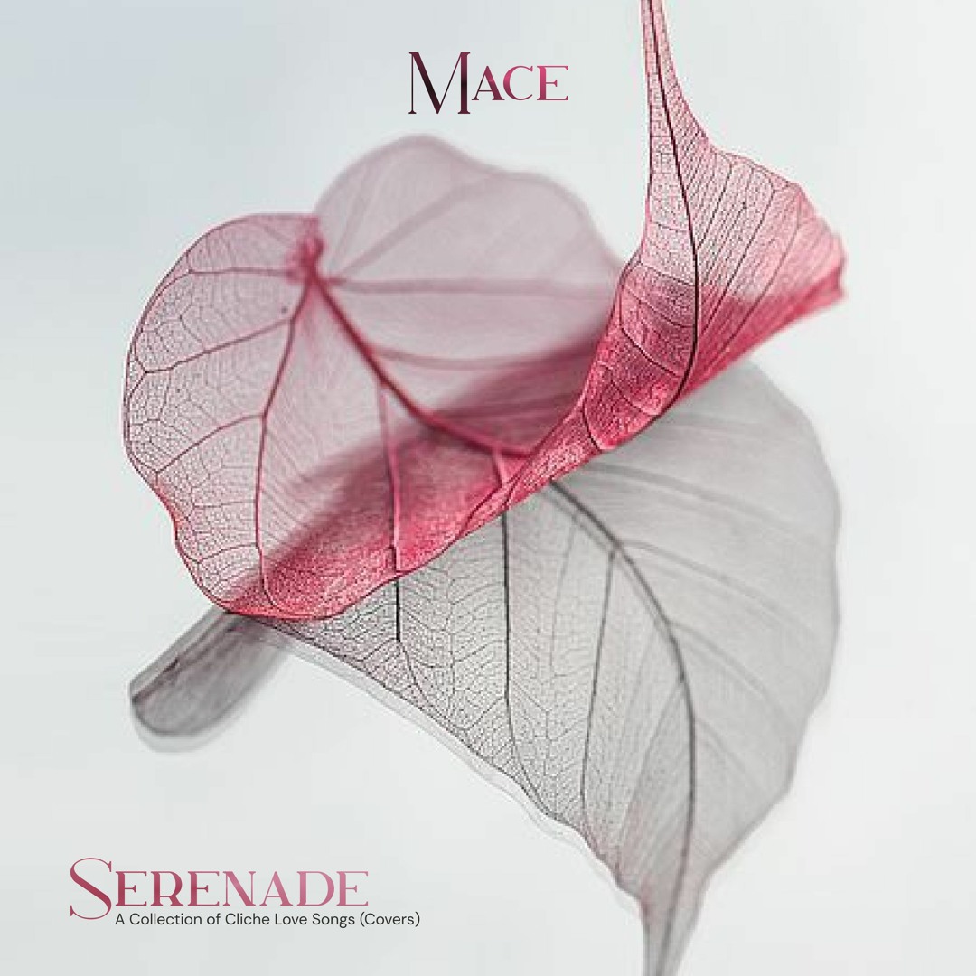 Stream Diana (Fireboy & Chris Brown) by Mace | Listen online for free ...
