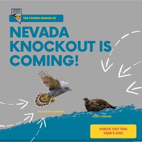 Stream Nevada Knockout And Know Your Nevada by The Nevada Department of ...