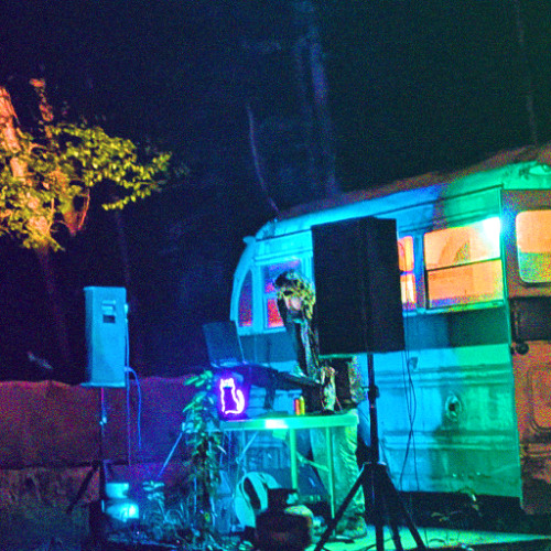 Stream Midas the Fuzzy Cat - Chase n' Love by Midas the Fuzzy Cat ...