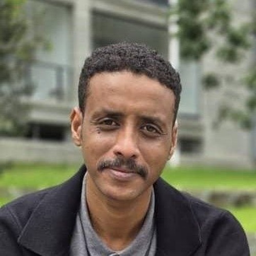 Stream السودان الكيان والتاريخ والهوية. by Hisham Shwani | Listen ...