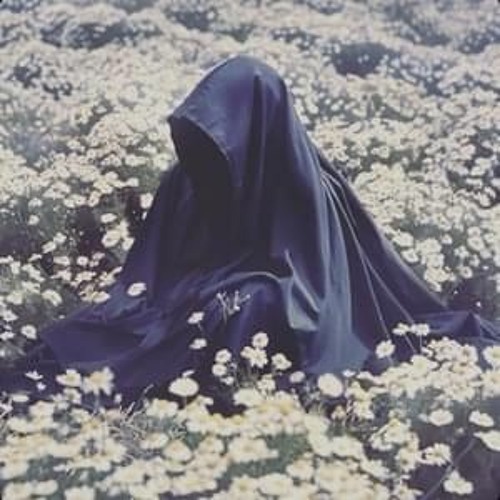 Stream ~~~~~ | Listen to GREAF - WALLFLOWER playlist online for free on ... Stream ~~~~~ | Listen to GREAF - WALLFLOWER playlist online for free on ...