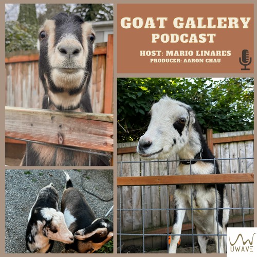 Stream episode Goat Gallery ep.2 w/ Mario Linares by UWave Radio ...