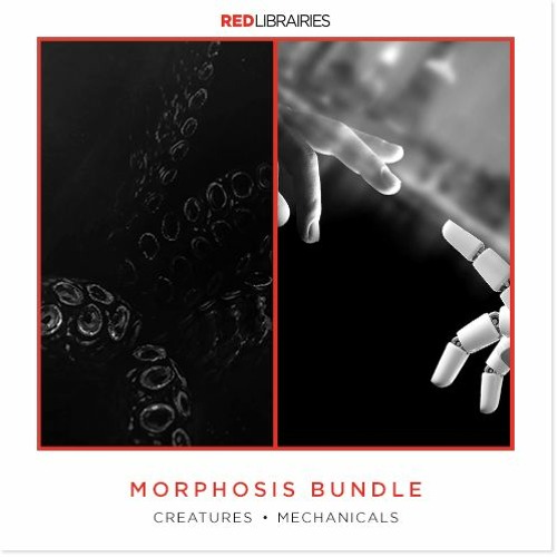Stream RL Morphosis - Mechanisms - Demo by Red Libraries | Listen online for free on SoundCloud