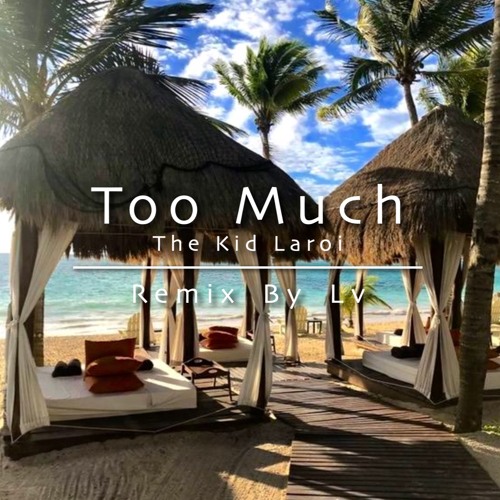 Stream The Kid Laroi - Too Much - Remix by Lv | Listen online for free ...