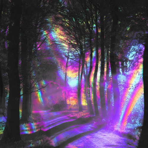 Stream Betta Not Say Nuttin Firefly by EgoRave | Listen online for free ...